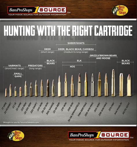 Ammunition Types Chart