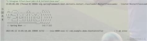 spring boot springboot 控制台程序 csdn博客