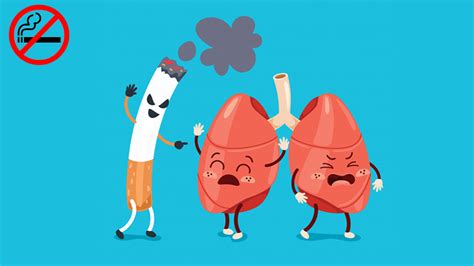 15 მიზეზი რატომ უნდა დაანებოთ თამბაქოს მოწევას თავი დღესვე Netgazeti • Relx • Netgazeti Ge