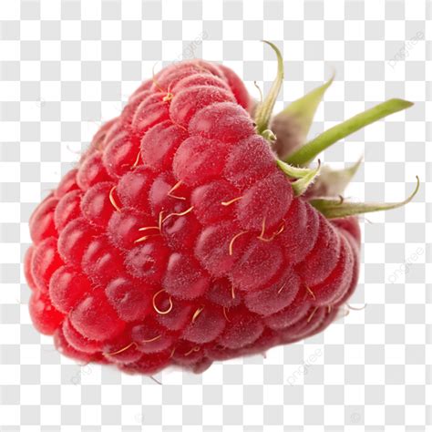 Beautiful Raspberry Clipart Raspberry Red Raspberry Fruit Beautiful