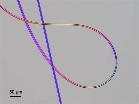 Michael Shribak On Linkedin Polarization Birefringence Labelfree