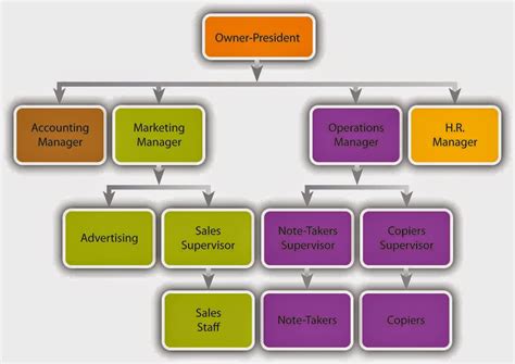 Mcdonalds Diagram To Describe The Companys Organizational S