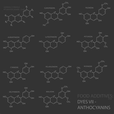 Anthocyanins Molecular Skeletal Chemical Formula 45479048 Vector Art At