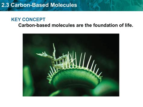 Macromolecule Ppt
