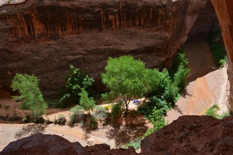 Rizwan Ali On Linkedin A Portal For Content Writing Serves As A Dynamic And Resourceful Platform