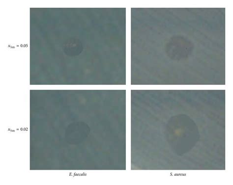 Qualitative Antibacterial Activity Evaluation Of Smhap Nps Xsm 002