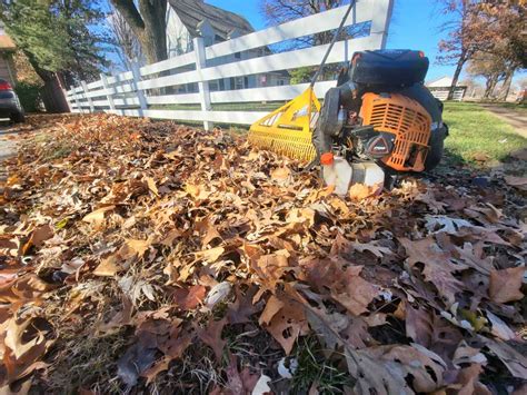 Pro Leaf Removal In Wichita Andover And El Dorado Ks
