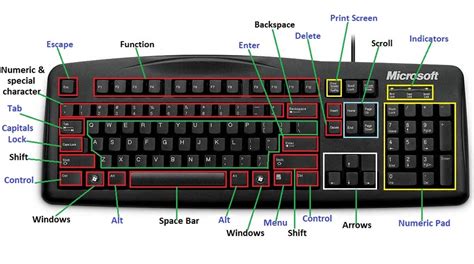 Computer Keyboard Keys Classification At Sharon Stein Blog