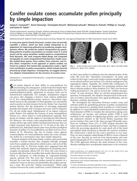 Pdf Conifer Ovulate Cones Accumulate Pollen Principally By Simple Impaction