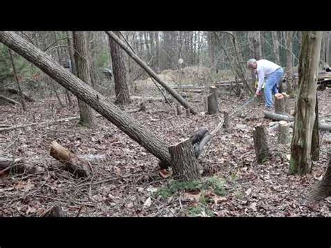 More Power Puller Pulling Down Hung Trees YouTube Urban Setting Tree Puller Winch