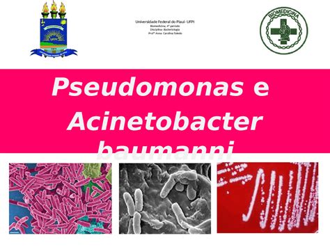 Pseudomonas E Acinetobacter Baumanni Disciplina Bacteriologia Docsity