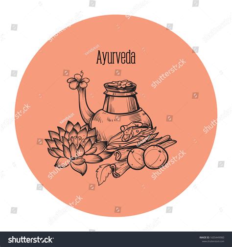 Ayurveda Vector Line Illustration Plain Background Stock Vector Royalty Free