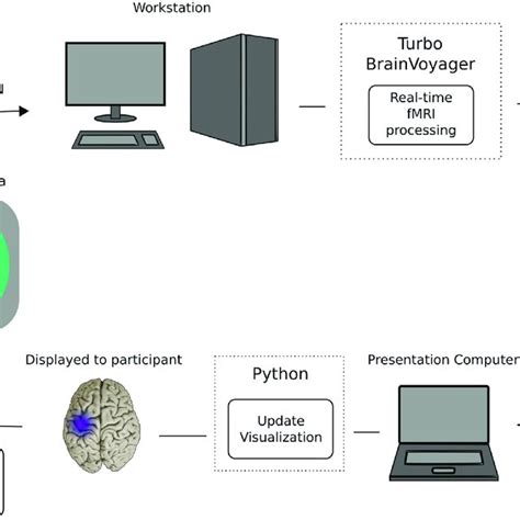 Real Time Functional Magnetic Resonance Imaging Fmri Acquisition And Download Scientific