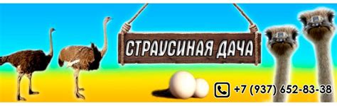 Страусиная дача в Самаре