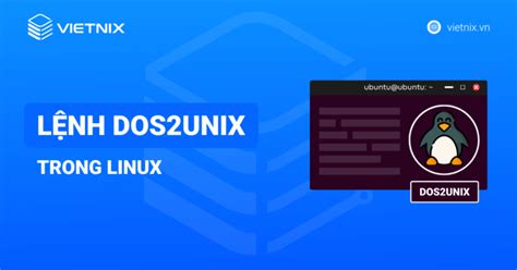 Cách Cài đặt Và Tạo Môi Trường Lập Trình C Bằng Gcc Linux