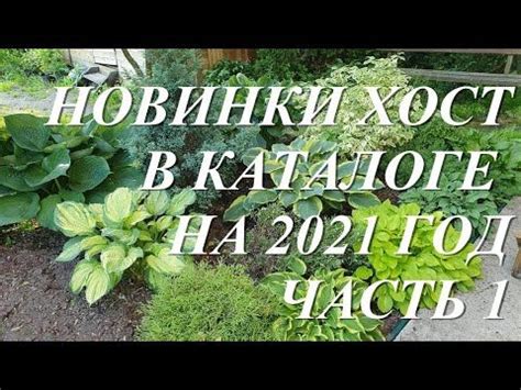 Новинки хост в каталоге на 2021 год. Часть 1 | Хоста, Каталог