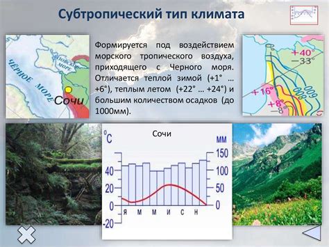 Типы климатов России презентация онлайн
