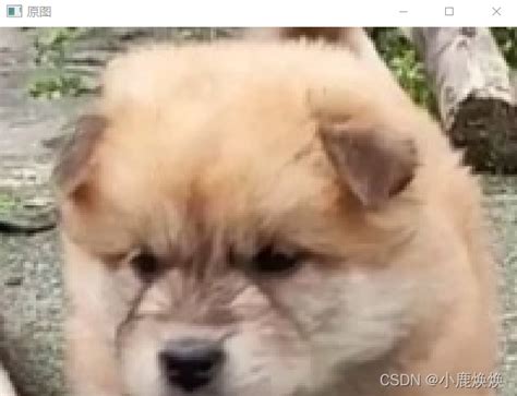 bgr图像与hsv图像互相转换（opencv） c opencv的bgr转hsv csdn博客