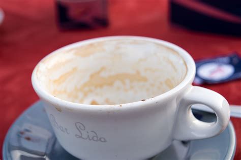 무료 이미지 라떼 뜨거운 초콜릿 카푸치노 요리 식품 음주 에스프레소 커피 컵 카페인 맛 평평한 흰색 카프 오 레이트 까페 마끼아또 커피 우유