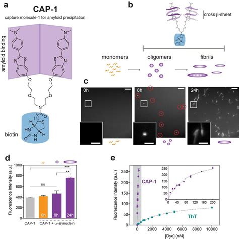 Design And Characterization Of A Bio Inspired Structure Specific Download Scientific Diagram