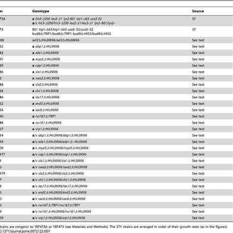 Cell Type Specific Budding Patterns In S Cerevisiae A Axial And