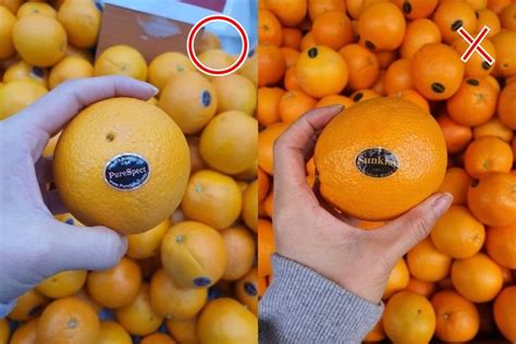 과일가게 사장님께 배운 맛있는 오렌지 고르는 5가지 방법 배꼽 큰 오렌지 고르면 안 되는 이유