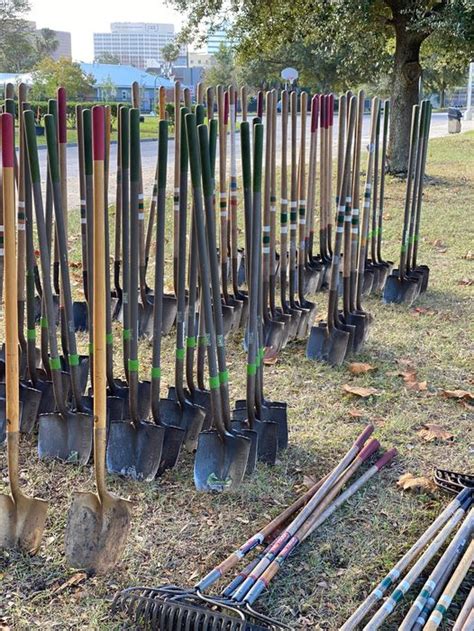 Plant Trees With Greenscape Of Jacksonville Jax Examiner