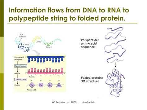Ppt Determine Protein Structure From Amino Acid Sequence Ray Luo Uc