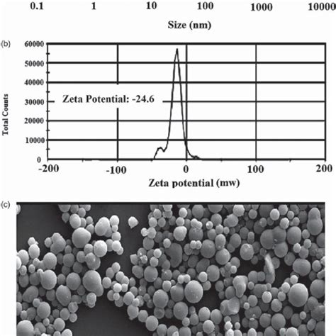 Particle Size Distribution A Zeta Potential Value B And Scanning Download Scientific