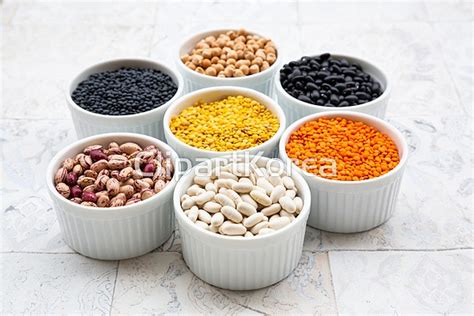해외작가포토 클립아트코리아 통로이미지주