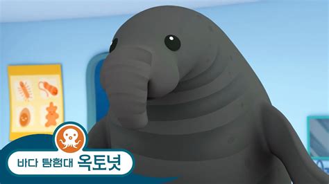 바다 탐험대 옥토넛 🐘 거대한 코끼리바다표범 🦭 모음집 Youtube