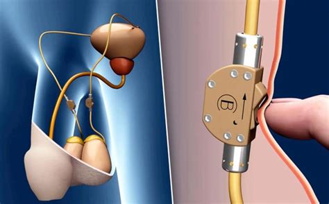 Sex Breakthrough The 5 Most Incredible Scientific Achievements Of The