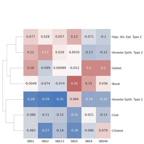 Correlation Between Mutational Signatures And Cell Composition Bulk