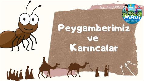 Peygamberimiz ve Karıncalar YouTube