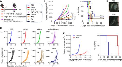 Single Dose Injectable Nanovaccine In Hydrogel For Robust Immunotherapy Of Large Tumors With
