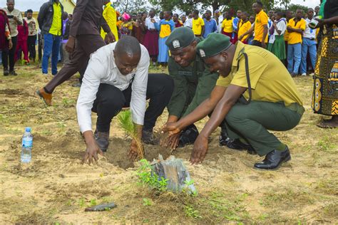 Ggml Supports Regional Efforts To Plant Trees In Mbogwe Council Daily