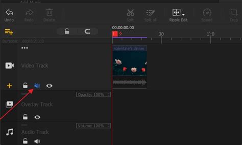 How To Remove Audio From MP In Ways VideoProc