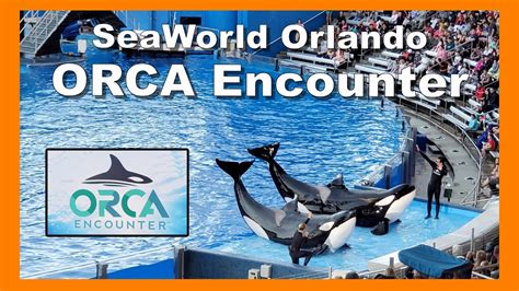 Seaworld Orlando The New Orca Encounter Show Full Show Youtube