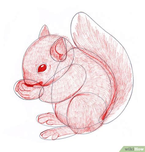 How To Draw A Squirrel Easy Cartoon Realistic Examples