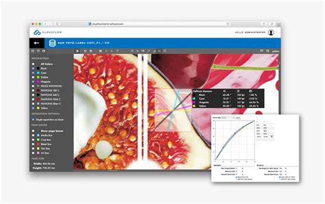 Fast Multi Threaded Host Renderer Creative Round Vegetable Fruit
