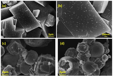 Calcium Carbonate Mineralization Of Microalgae
