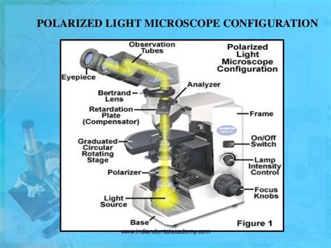 Polarized Microscopy Seminarprosthodontic Courses