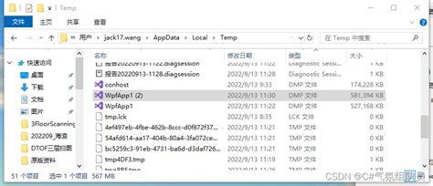 C内存泄漏分析方法 巴蒂青葱 博客园