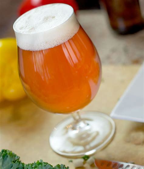 Frootbeer Fruit Beer Home Brewing Beer Craft Beer Brewing