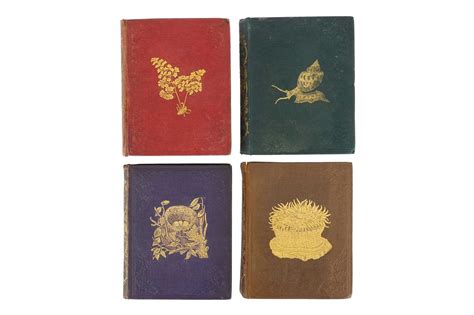 Lot 204 Collection Of 10 Reeve And Benham Popular