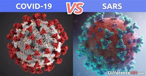 Covid 19 Coronavirus Vs Sars Whats The Difference Between Covid 19