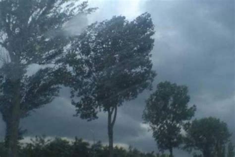 Avertizare meteo Cod galben de vânt puternic și ploi în județul Cluj