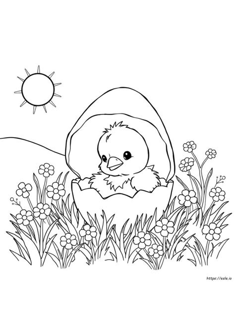 Chicky Gambar Mewarnai