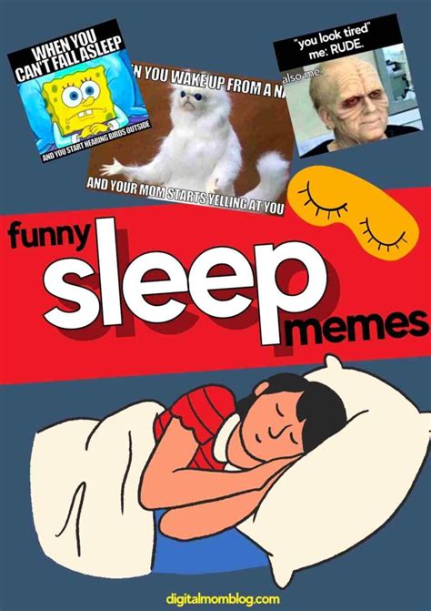 75 Funny Sleep Memes So Great You Will Forget You Are Tired