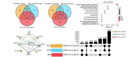 多组比较中“韦恩图”的妙用 Venn 基因 分析